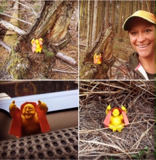 A Syd Story from Anna Bielby - The Suburban Monk